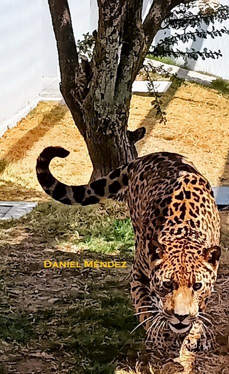 Conoce lo nuevo del Parque Ecológico Ehécatl - Daniel Méndez